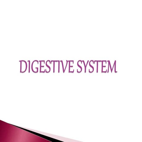 Digestive system | PPT