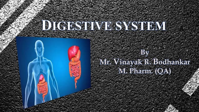 Digestive System Ppt