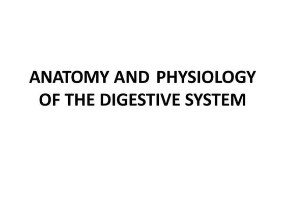 GI system mnemonics | PDF | Digestive Disorders | Diseases and Conditions