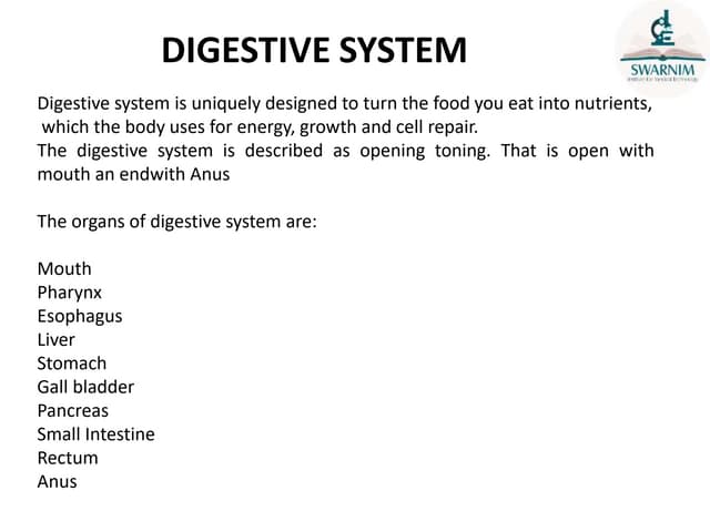 Science Grade 8- The Digestive System.pptx