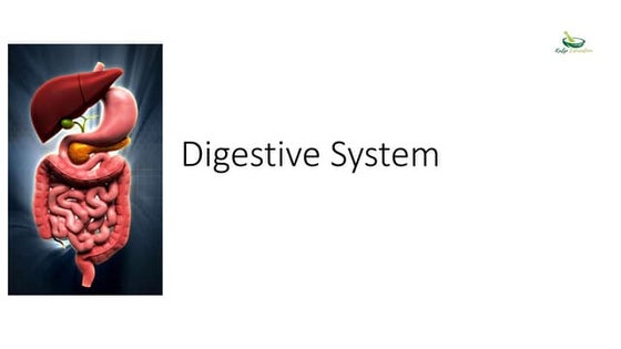 Presentation on the mechanism of HCl production in the stomach | PPTX ...