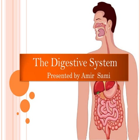 digestive system .pdf
