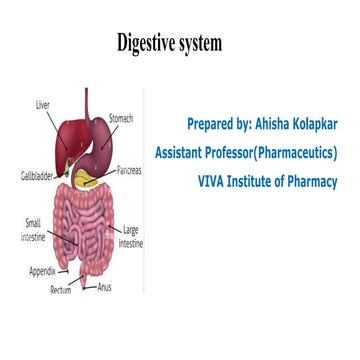 Grade 7 chapter1 lesson1 - the digestive system | PPTX