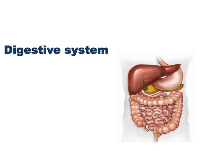 Science Grade 8- The Digestive System.pptx