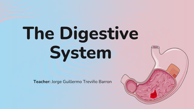 Digestive system - CLASS V | PPTX | Biological Sciences | Science