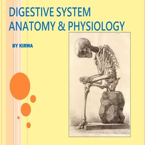 A complete guide to the Human Digestive System | PPT