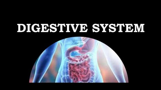 Grade 8 - Digestive System | PPT