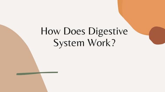 Digestive System Grade 4 igcse easy notes ppt | PPT | Nutrition ...