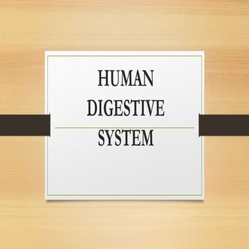 The Human Digestive Organs and its function making it a System.pptx