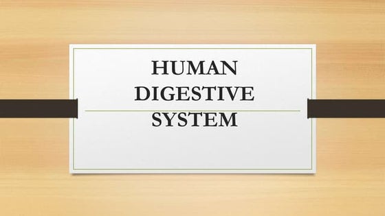Digestive system Lesson for Grade 6 students.pdf | Digestive Disorders ...