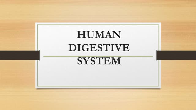 Digestive system - CLASS V | PPTX