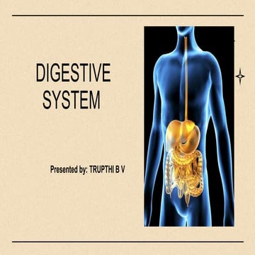 DIGESTIVE SYSTEM. PPT human anatomy and physiology | PPTX