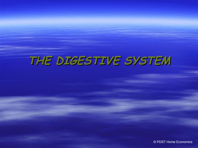 The-Digestive-System-in-Humans-Powerpoint.ppt