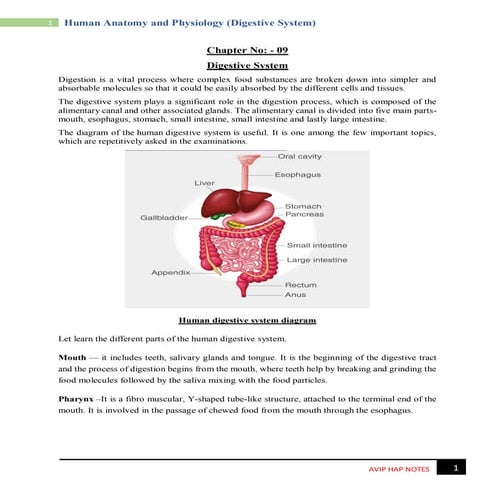 Digestive System.pdf HUMAN ANATOMY AND PHYSIOLOGY | PDF