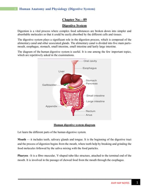 Science 6_Q2_L3_Parts and Function of Digestive System.pptx