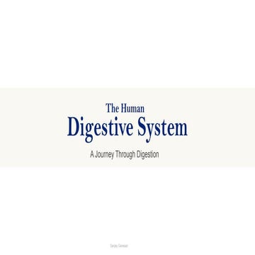 Human Digestive System - A journey through digestion | PPTX