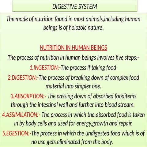 DIGESTIVE SYSTEM Of human body for class 5.pptx
