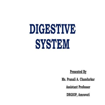 Anatomy & Physiology of GIT | PDF