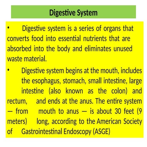 Materi tentang pada program studi S1 Keperawatan tentangDigestive System.pptx
