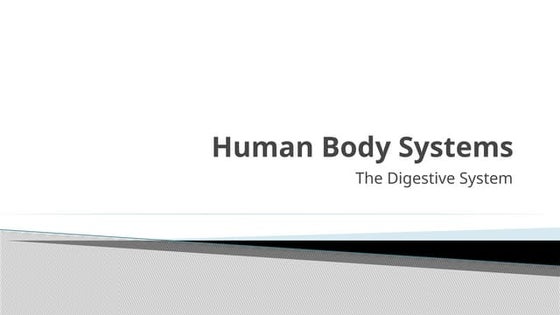 Digestive System Grade 4 igcse easy notes ppt | PPT | Nutrition ...