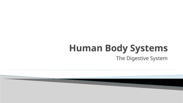 Digestive system Grade 5 igcse easy notes | PPT