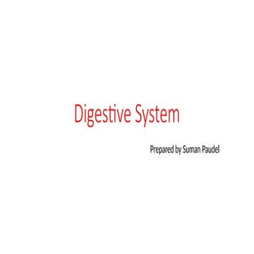 class 12 notes of zoology topic: digestive system | PPTX