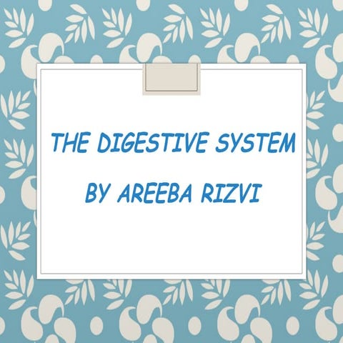 Digestive System-primary level (for school students)) | PPT