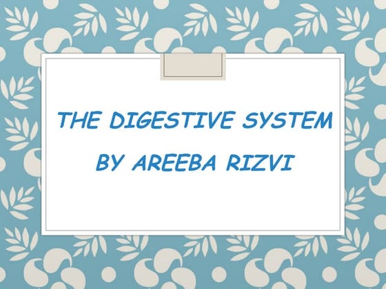Digestive System Grade 4 igcse easy notes ppt | PPT | Nutrition ...