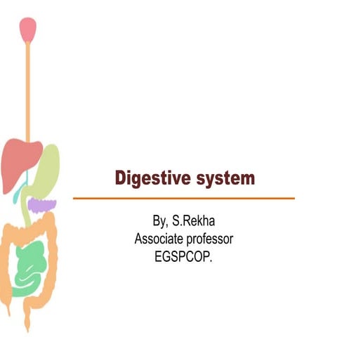 digestive system for Pharm d I year HAP | PPT