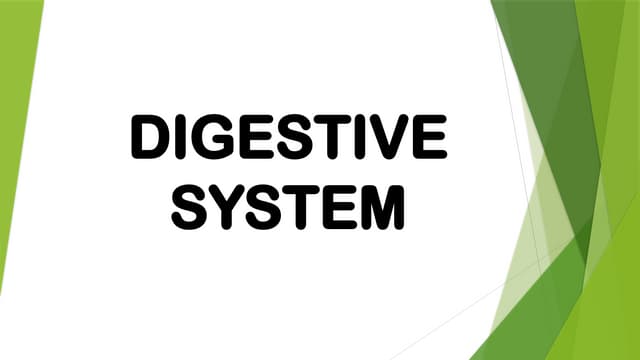 Digestive system Lesson for Grade 6 students.pdf