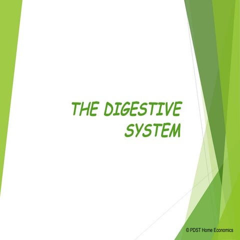 Avian digestive system | PPTX