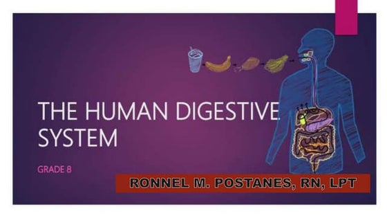 Solar system models (worksheet 3) | PDF