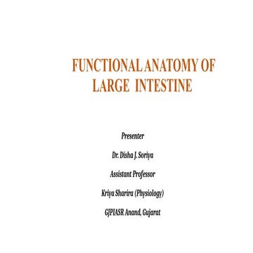 SMALL INTESTINE AND LARGE INTESTINE | PPT