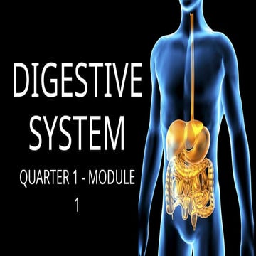Science 8 Digestive System used in classroom | PPTX