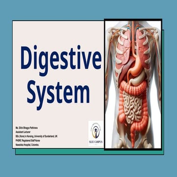 Digestive System basics knowladge for nursing care assistant students ...