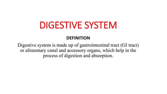 Digestive system Lesson for Grade 6 students.pdf | Digestive Disorders ...