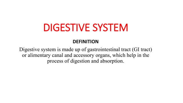 Digestive system Lesson for Grade 6 students.pdf