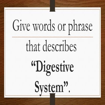 Digestive System 1st topic grade 8 .pptx