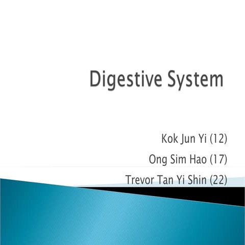 Anatomy & Physiology of large intestine | PPTX
