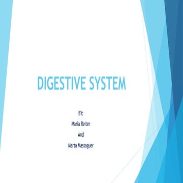 Digestive system | PPT