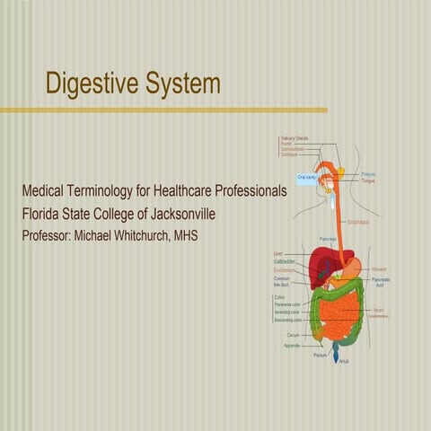Upper Gastrointestinal Tract: Anatomy & Physiology.pdf