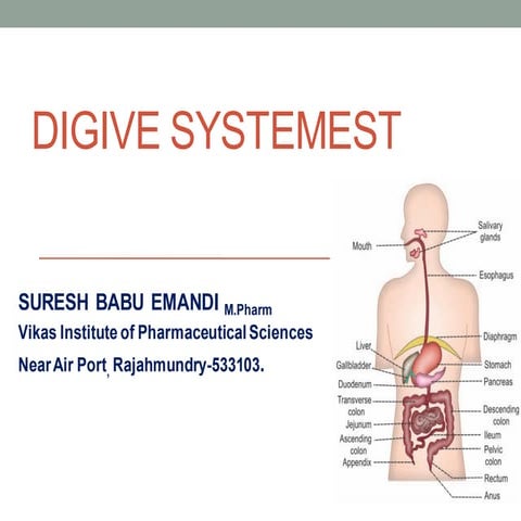 DIGESTIVE SYSTEM | PDF | Ear, Nose and Throat Conditions | Diseases and ...