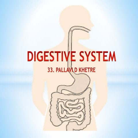 Digestive system introduction | PPT