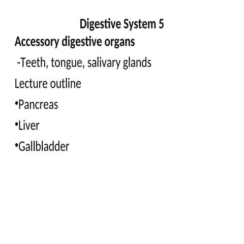 Digestive System lecturers note uni 5.ppt