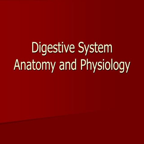 Digestive System Anatomy and Physiology.ppt