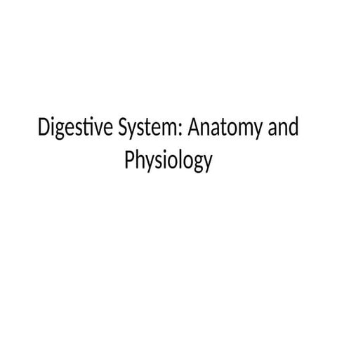 Digestive_System_--Detailed_Anatomy.pptx