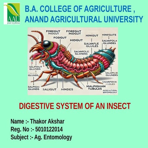 Chapter 4 INTERNAL STRUCTURE AND FUNCTION OF INSECT’S BODY (INSECT ...