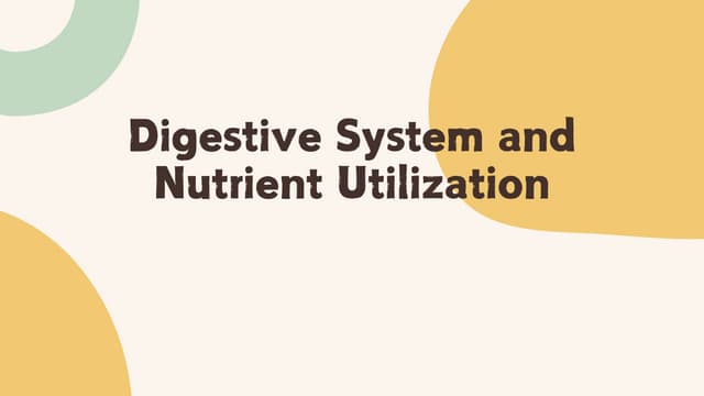Duck Digestive System | PPTX