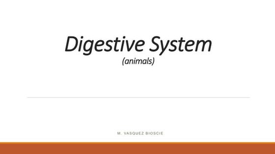 Digestive system of camel | PPTX | Digestive Disorders | Diseases and ...
