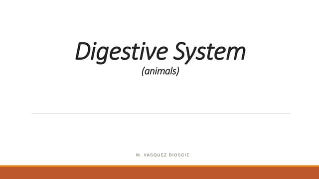 Different types of digestive system in animals.pdf